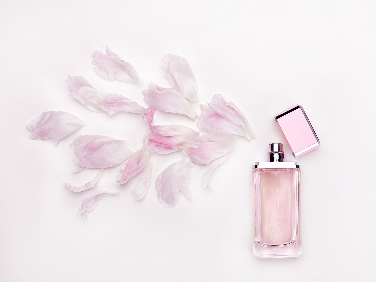 Best Natural Perfume Brands for Worry-Free Luxury - Free Bunni